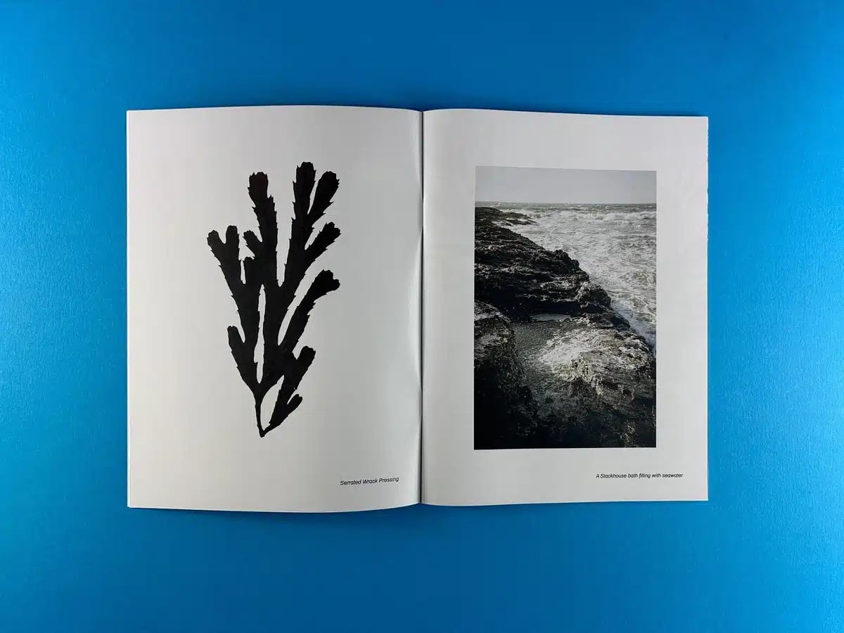 How to Create a Design Portfolio That Boosts Your Career?